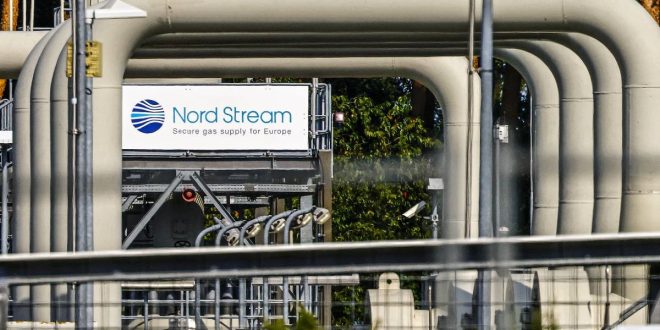 Gazprom and pipeline operator should participate in Nord Stream ...